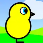 Duck Life - Geometry Spot